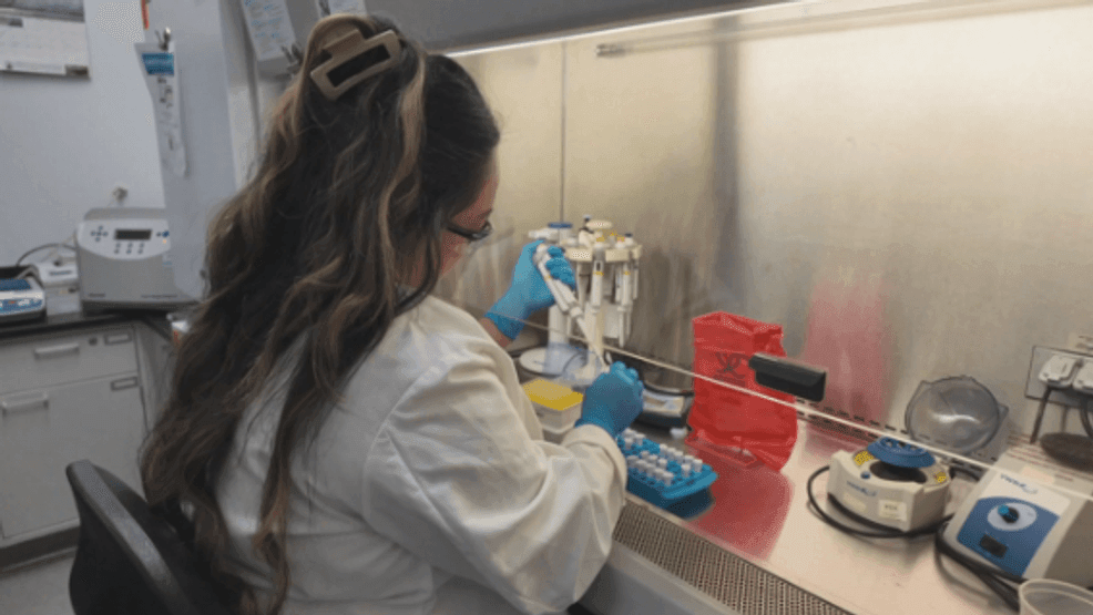 Inside Pennsylvania's fight against bird flu as labs work to prevent ...