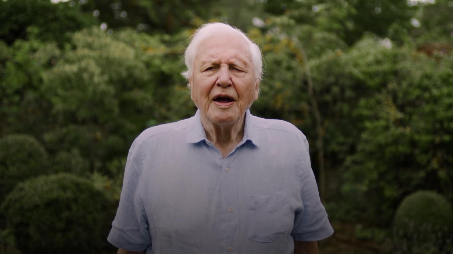 David Attenborough backs bid to save vast upland estate ‘for nature and ...