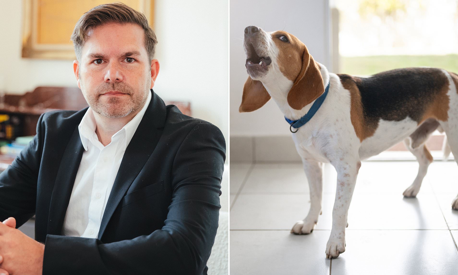 My neighbour's dog barks so loudly I can't work. Can I fight back? DEAN ...