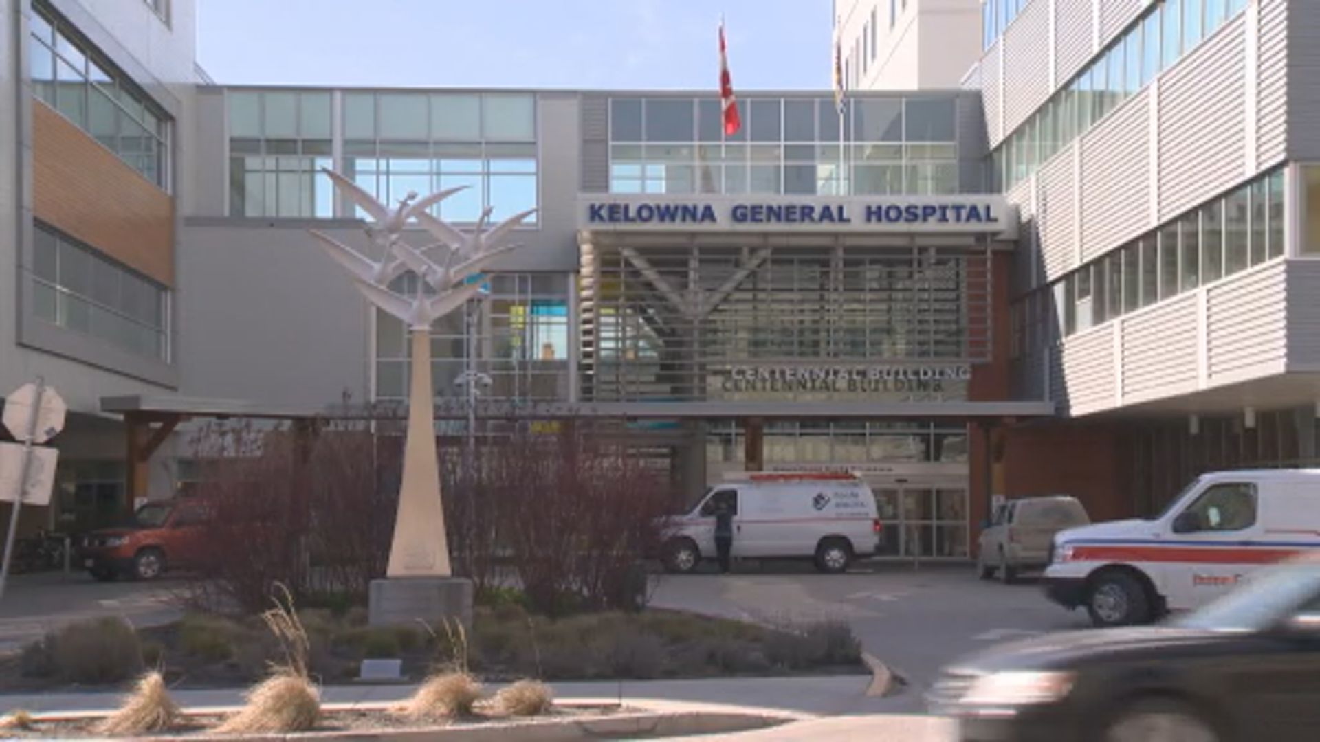 Alberta family urges other travellers to buy insurance after quad crash ...