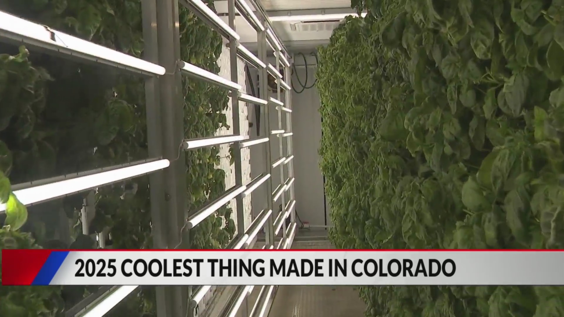 Inside FarmBox Foods Vertical Hydroponic Farm, just named 2025 Coolest ...