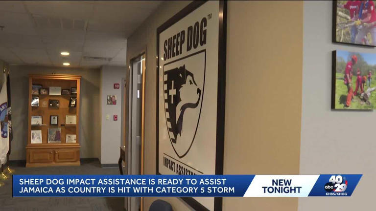 Sheep Dog Impact Assistance monitoring Hurricane Melissa