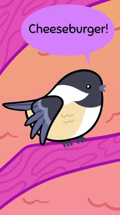 Cheeseburger Bird