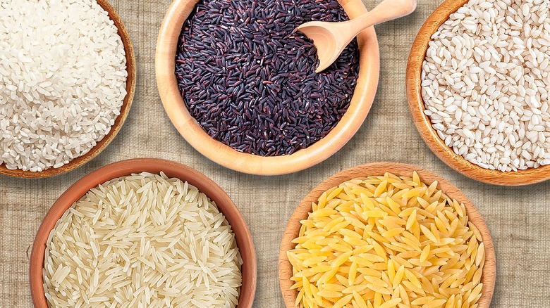 7 Types Of Rice Explained
