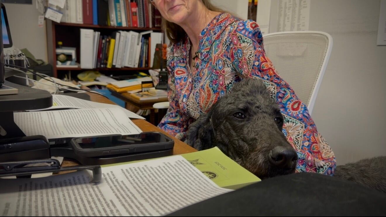 VOICELESS VICTIMS: How Virginia law delivers justice for animal cruelty ...