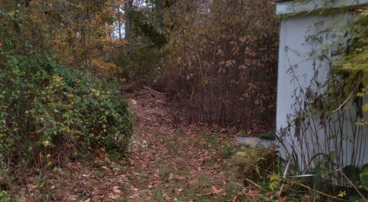 Hamden resident describes terrifying encounter with badly burned 13 ...