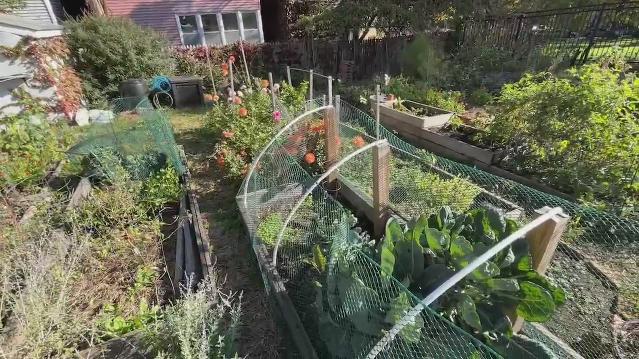 Capital Roots Community Garden