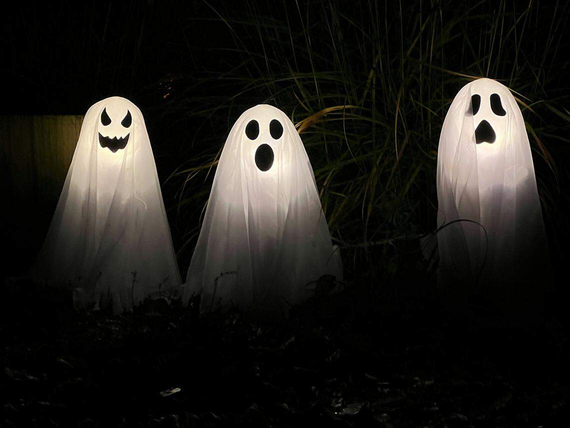 Do Americans believe in paranormal beings? What poll shows as Halloween ...