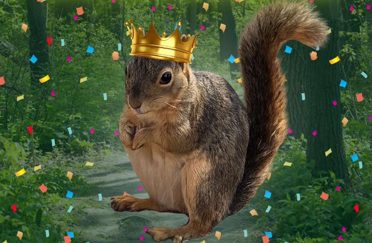 Fat Squirrel Week crowns Chunkosaurus Rex champion as Texas critters binge