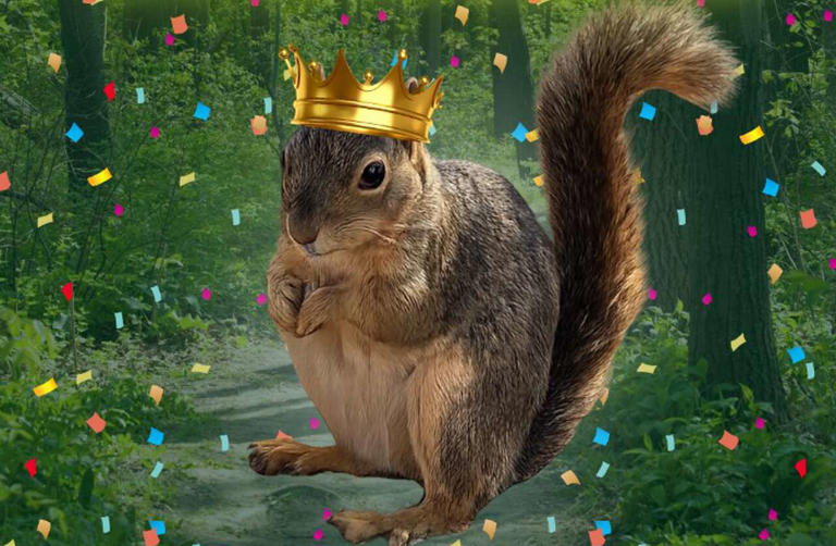 Fat Squirrel Week crowns Chunkosaurus Rex champion as Texas critters binge