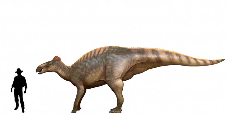 Fósiles de dinosaurio “increíblemente conservados” revelan el ejemplar ...