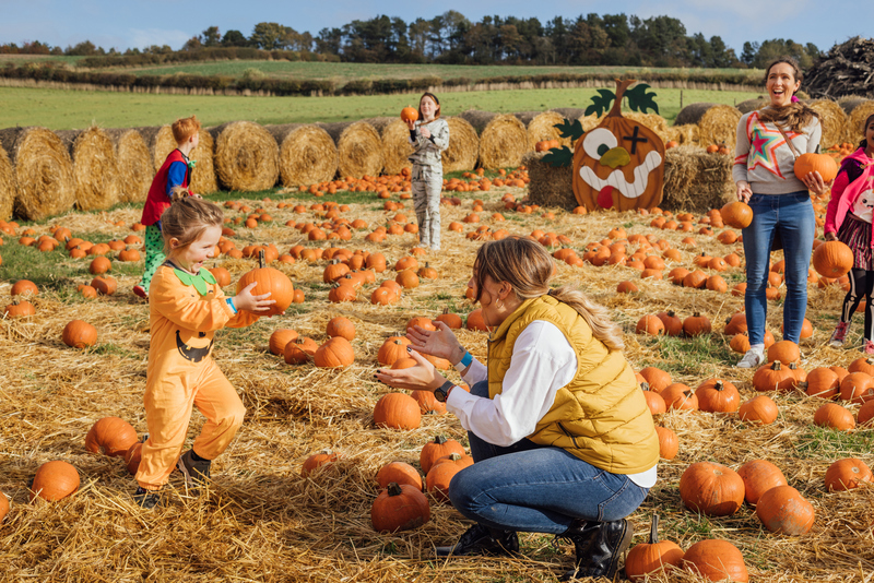 How Different Countries Celebrate Halloween Around the World?