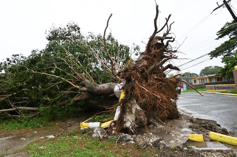Thousands from UK stranded abroad as Hurricane Melissa wreaks havoc