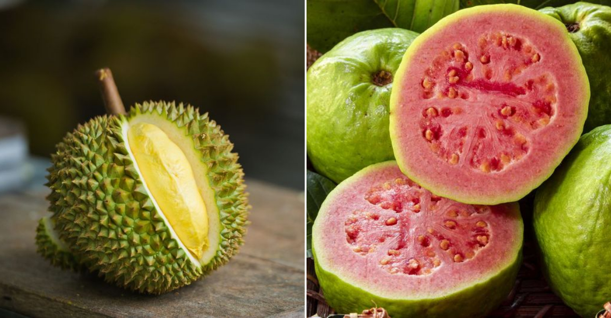 6 Fruits That Contain More Potassium Than Bananas
