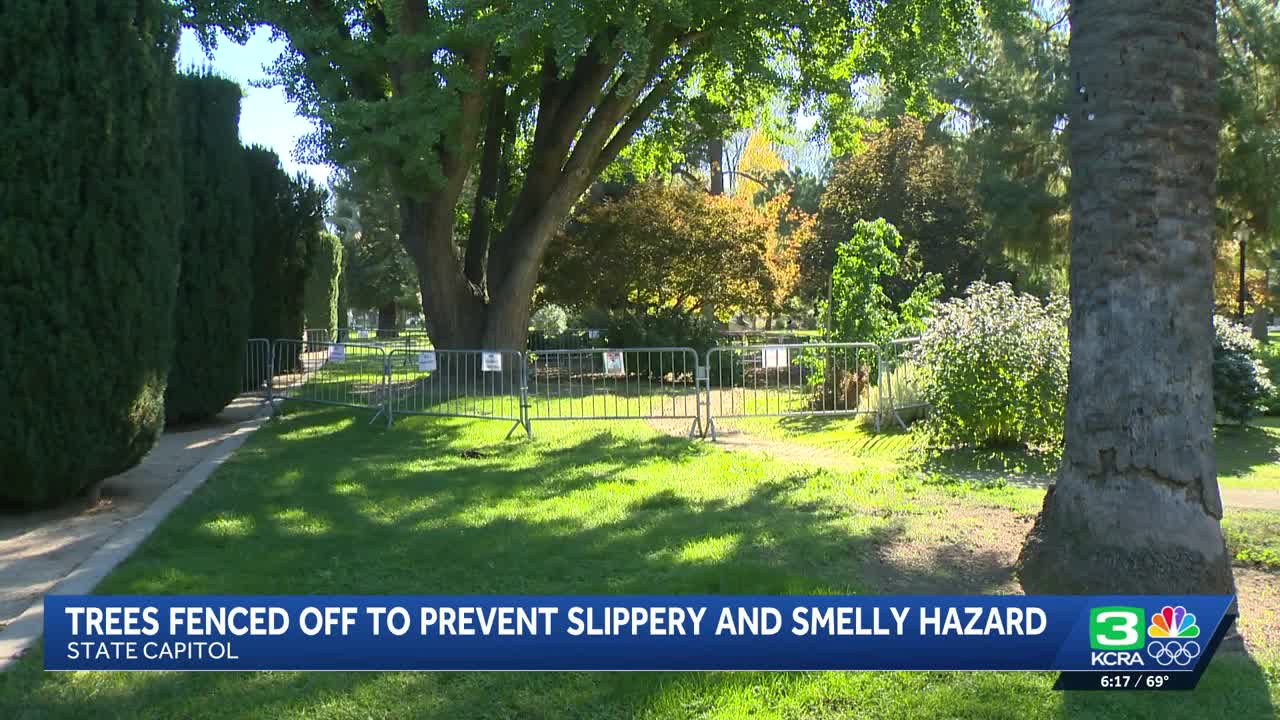 Trees around California Capitol fenced off due to slip hazard