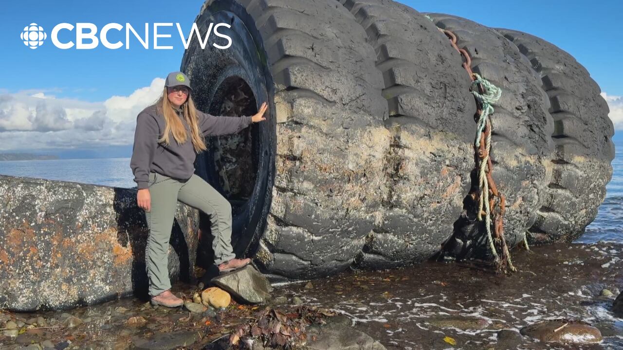 Industrial tires washed up on the beach near Campbell River, B.C.