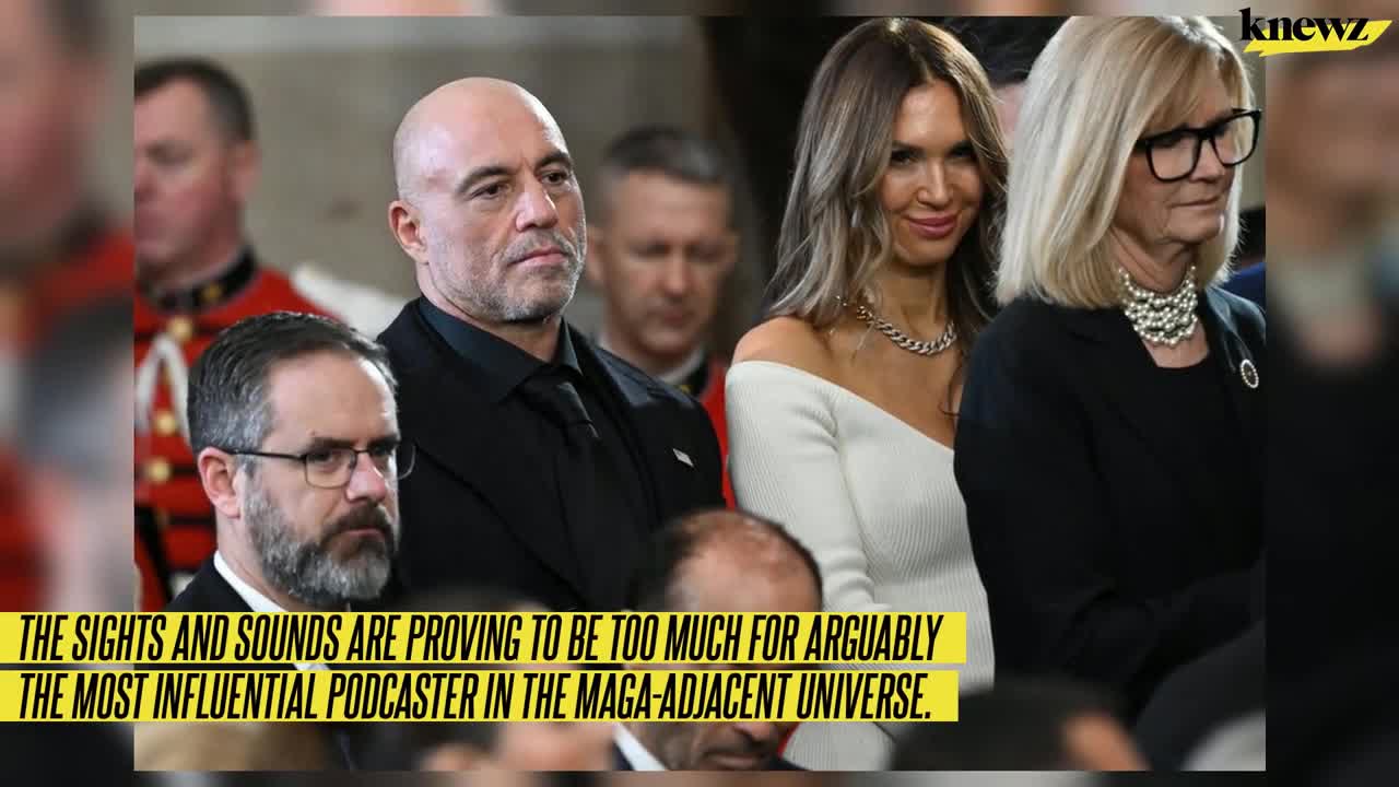 MAGA loyalists turn on Trump over mass deportations