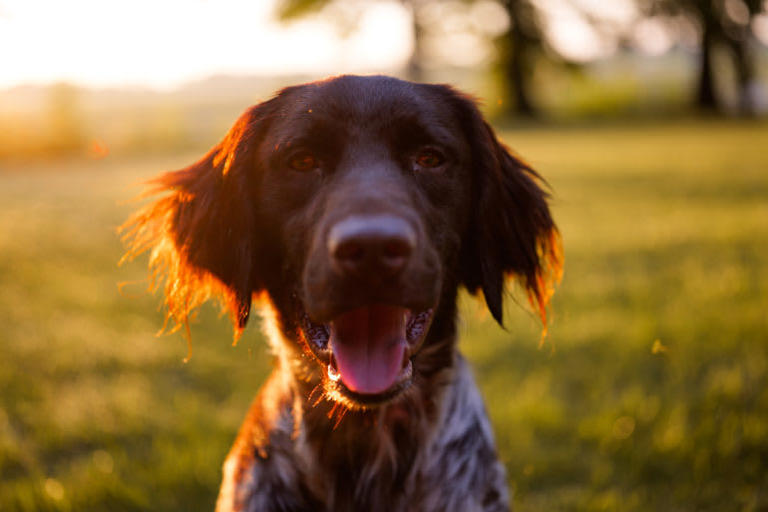 Bokeh Doesn’t Matter As Much as You Think It Does