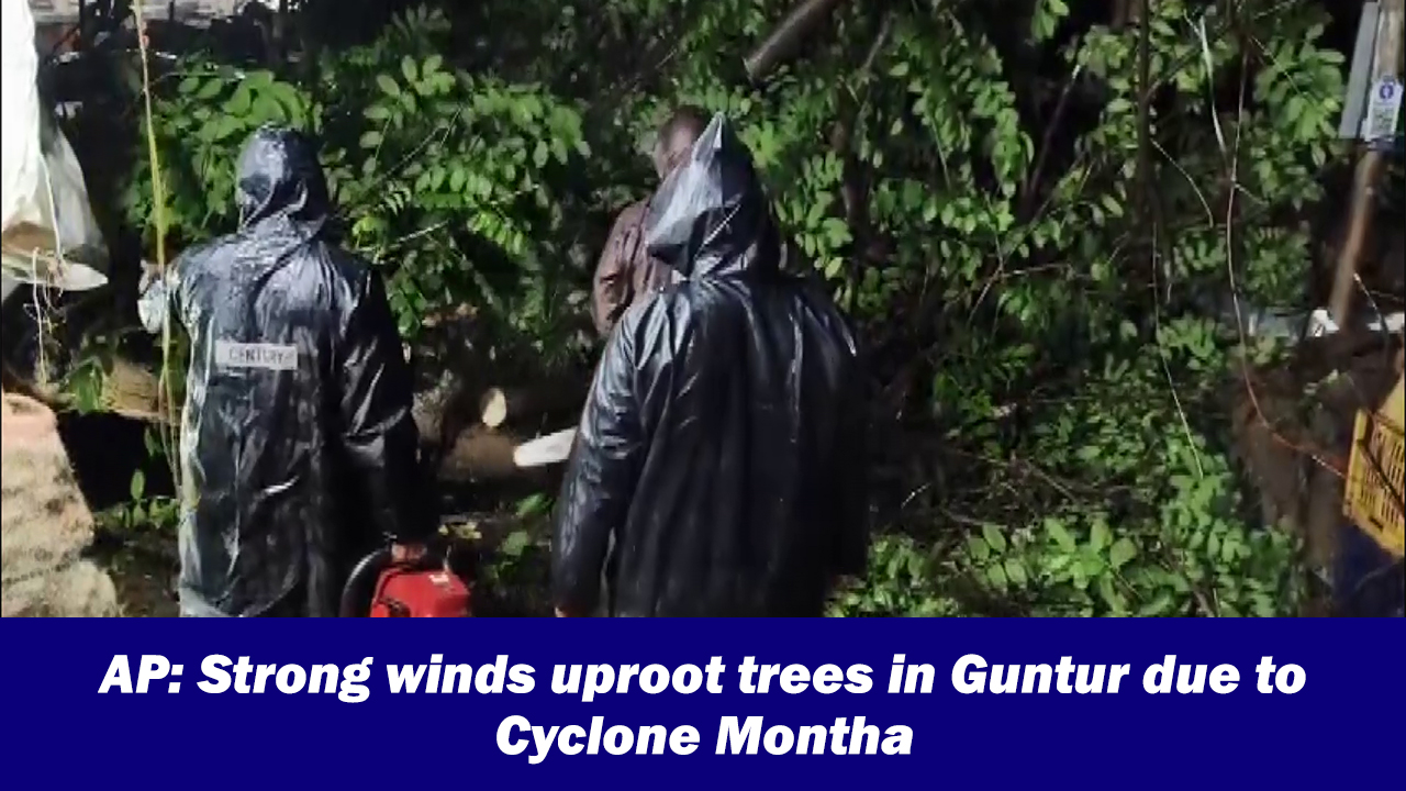 AP: Strong winds uproot trees in Guntur due to Cyclone Montha