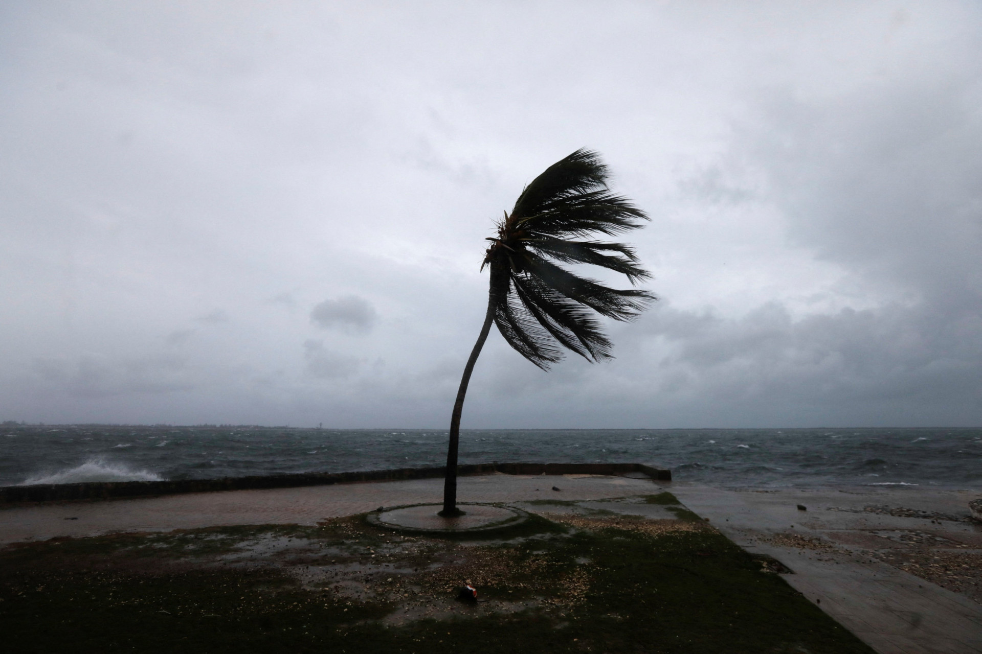 How do hurricanes get their names?