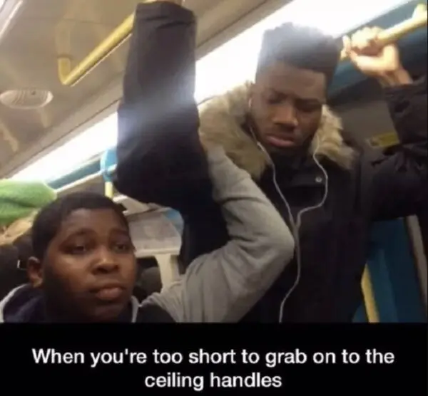 30 Fun-sized memes for short people