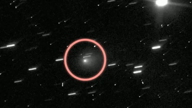 Space object has controlled movement, says scientist who claims it ...