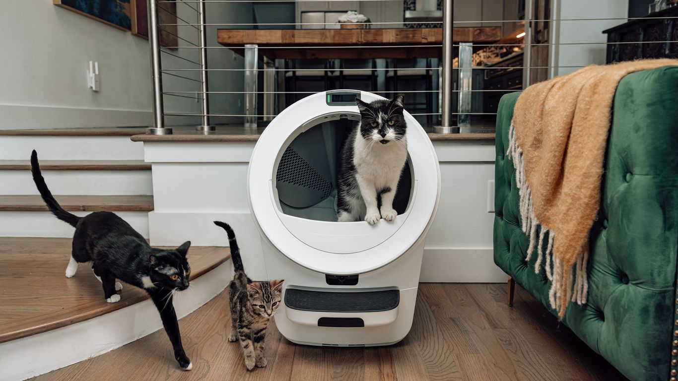 New Whisker litter box uses AI to ID cats, detect illness