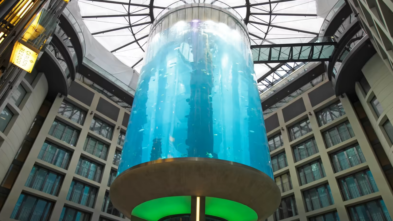 How the world’s largest aquarium exploded overnight