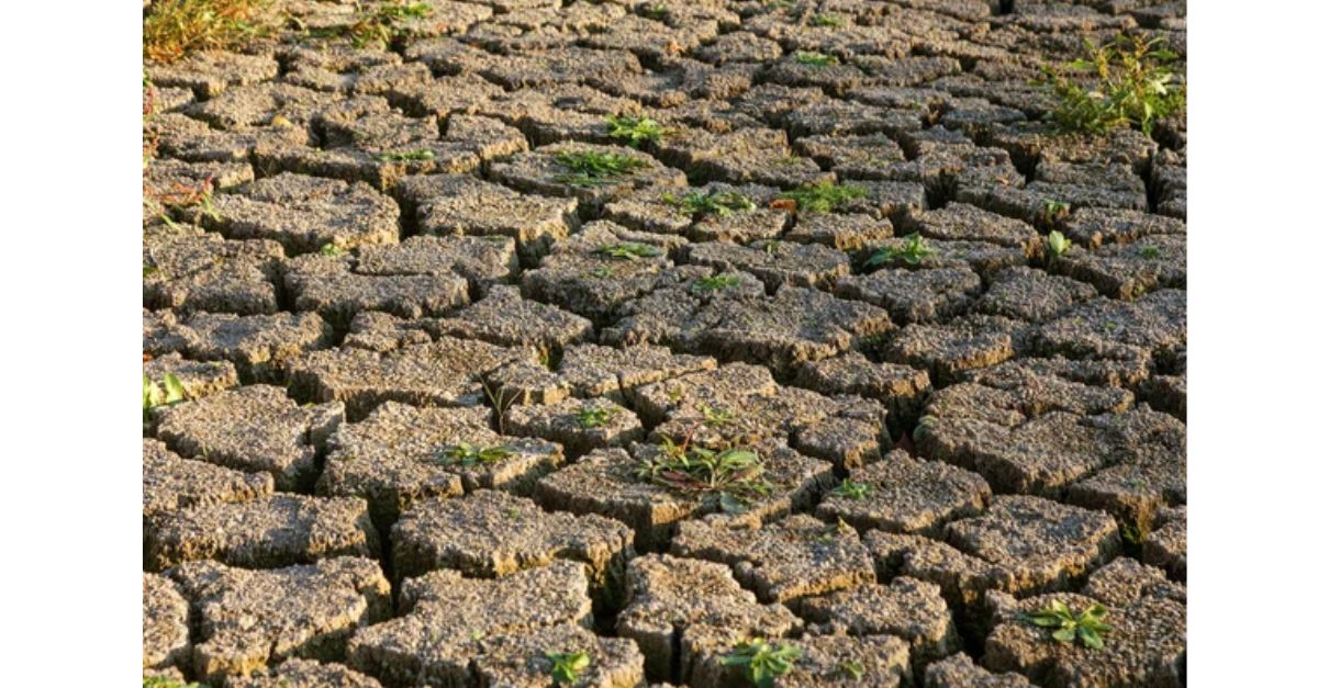 Northern Hemisphere’s Albedo Shift Reveals a New Climate Imbalance