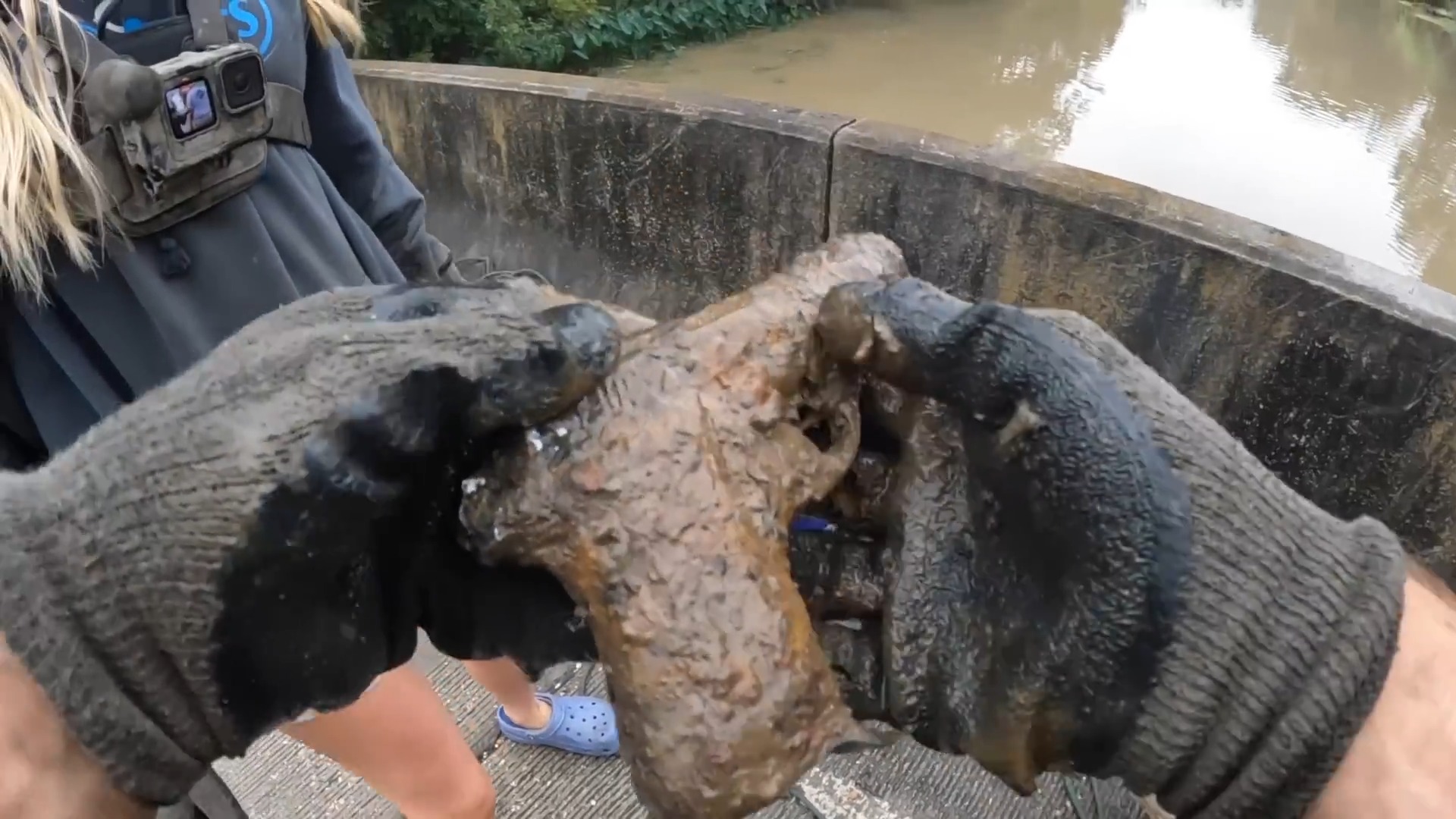 We Found Evidence, The Police Found Us