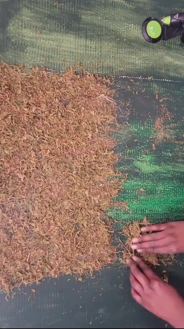 Turn Dollar Tree poster board & moss into THIS! 😍