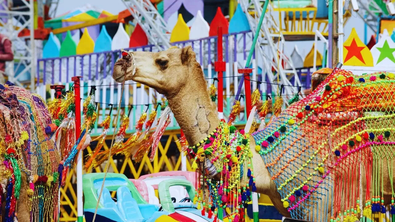 From being world's largest camel fair to being a spiritual destination ...