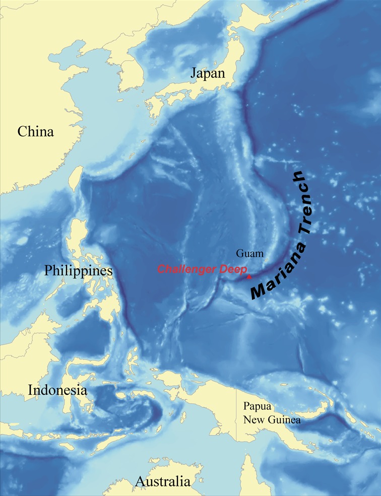 The Mariana Trench: What Earth's Deepest Point Reveals About Tectonic Life