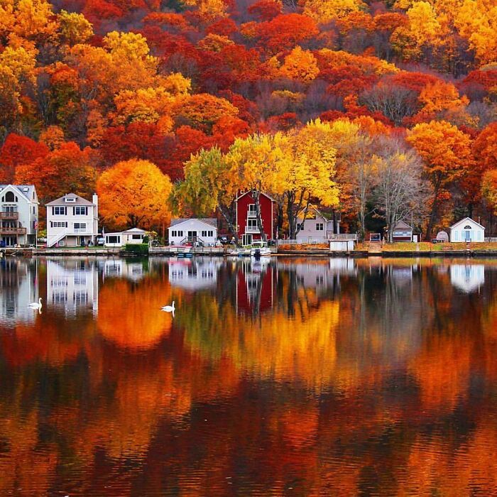 52 Captivating Photos Of Autumn Leaf Colors And Fall Foliage From ...