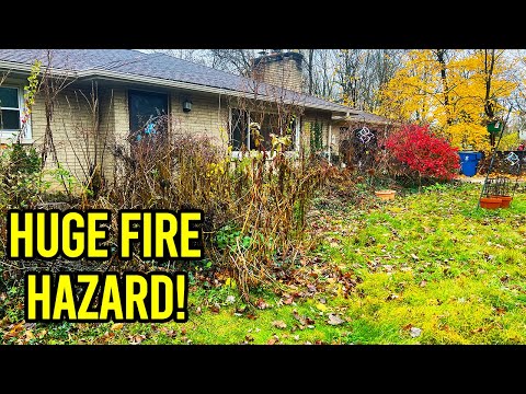 Extreme yard makeover: Transforming an overgrown jungle into a ...