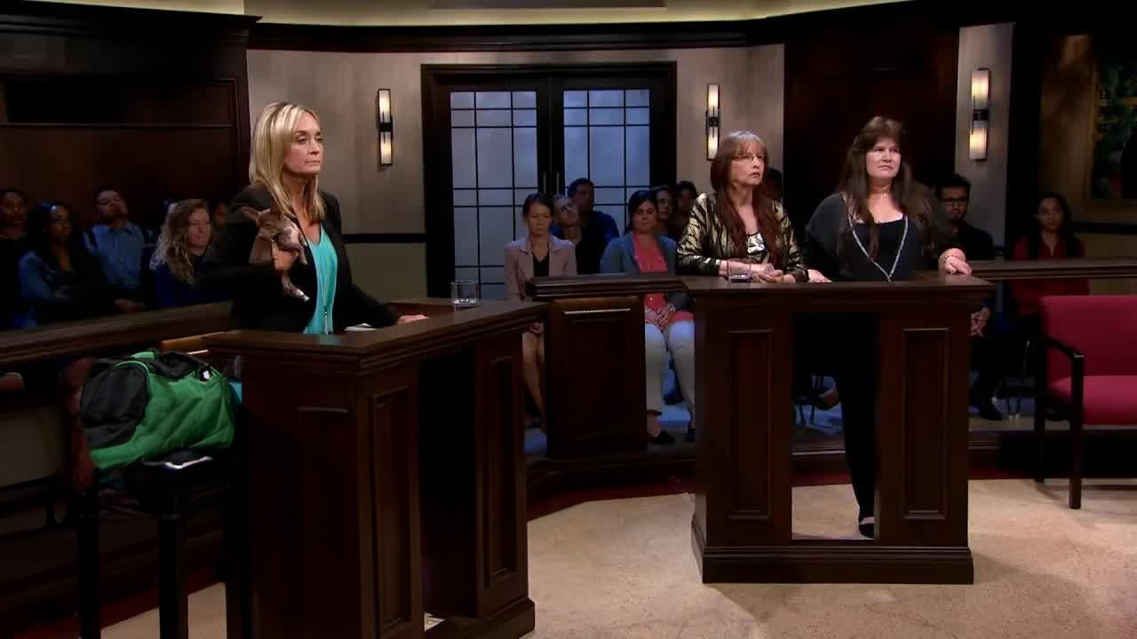 Courtroom drama: Fast-food disputes and puppy rescue