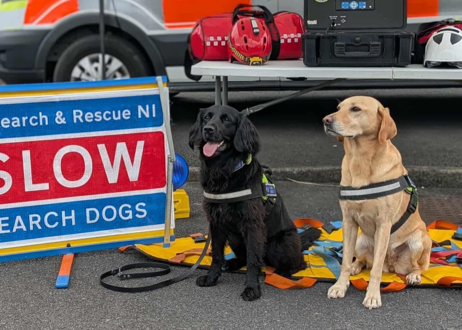 Hurricane Melissa: Northern Ireland dog search and rescue team ‘on ...