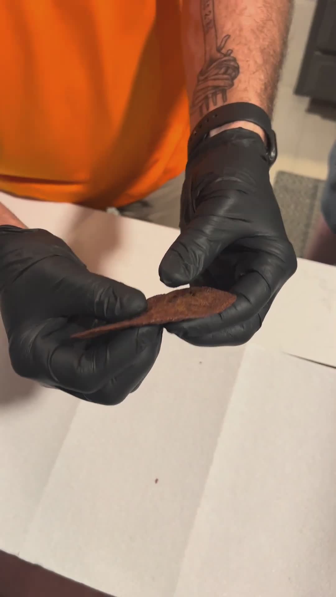 Hot chip challenge survival