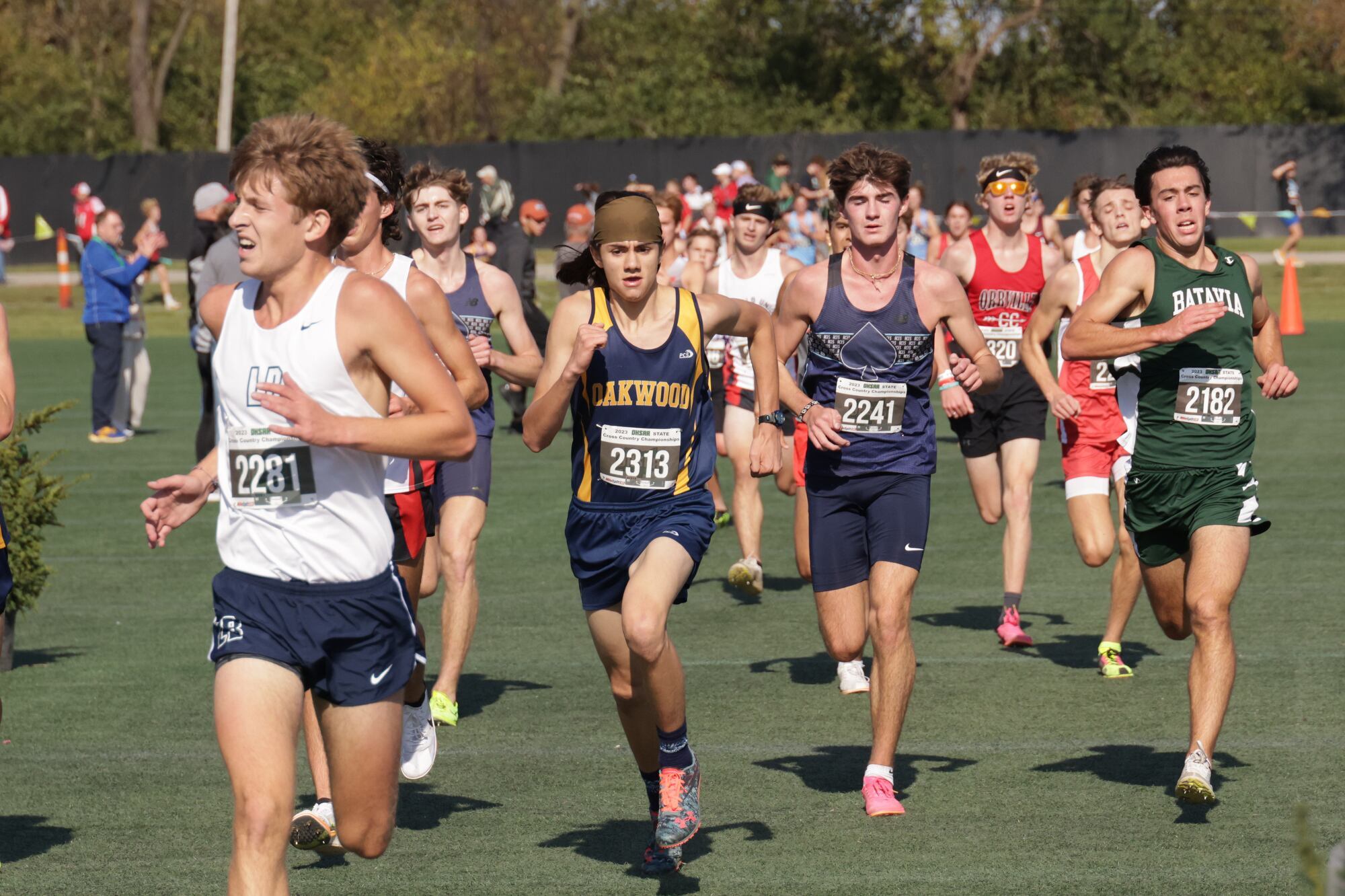 OHSAA state cross country: Which Northeast Ohio runners are competing ...