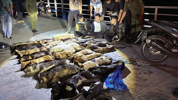 Bắt quả tang nhóm người trộm 24 con chó chỉ trong một đêm