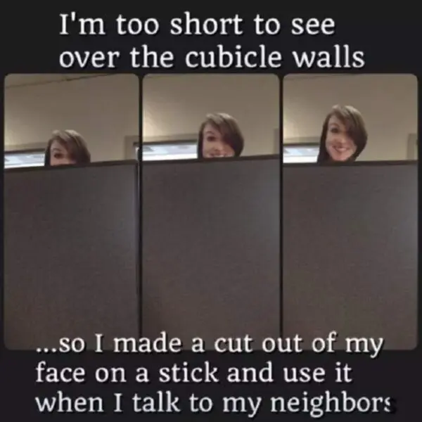 30 Fun-sized memes for short people