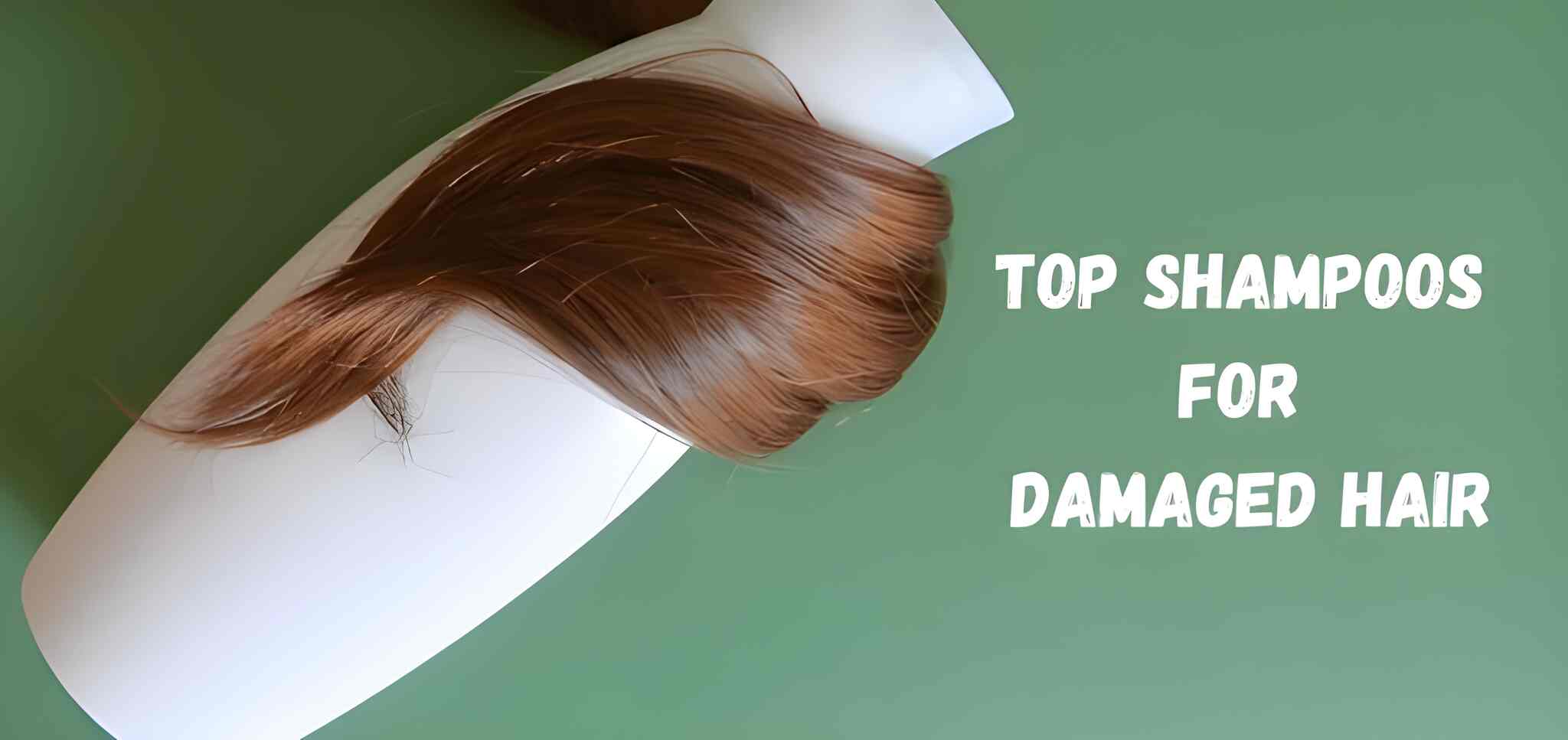 Best Shampoos for Damaged Hair: Repair, Restore, Revive