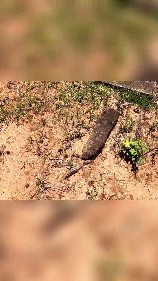 Exploring Old Fieldstone - Uncovering Hidden History