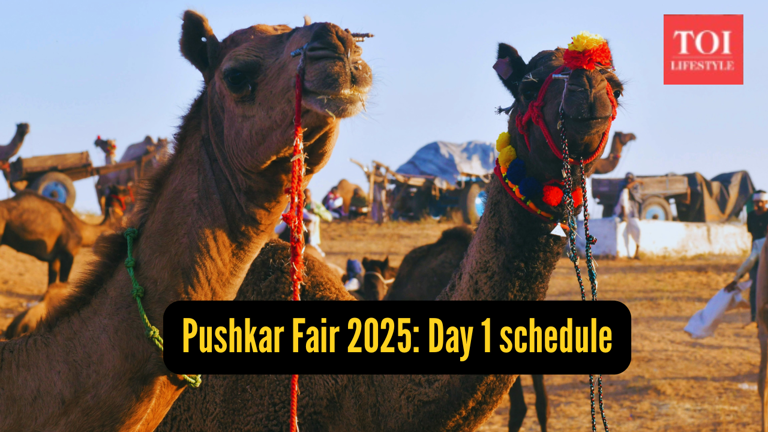 Pushkar Fair 2025 Day 1: ‘Chak de Rajasthan’ football match, Maha Aarti ...