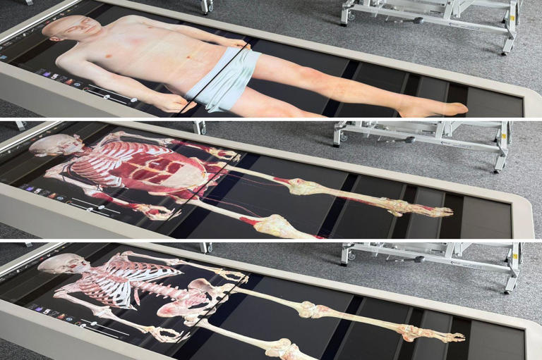 Dissecting good learning: A new 3D teaching tool for University of ...