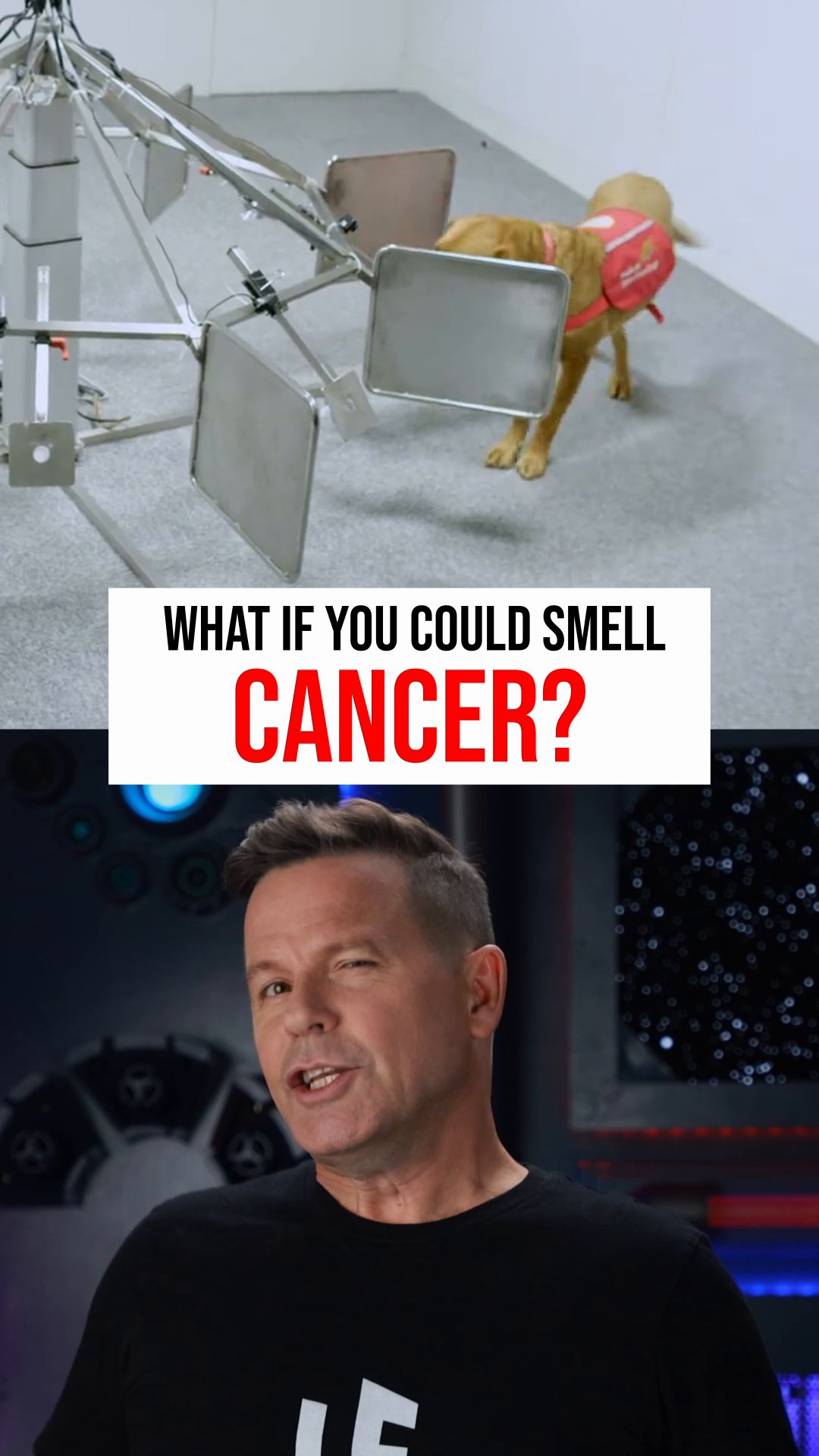 What If You Could Smell Cancer? #Medicine #Science