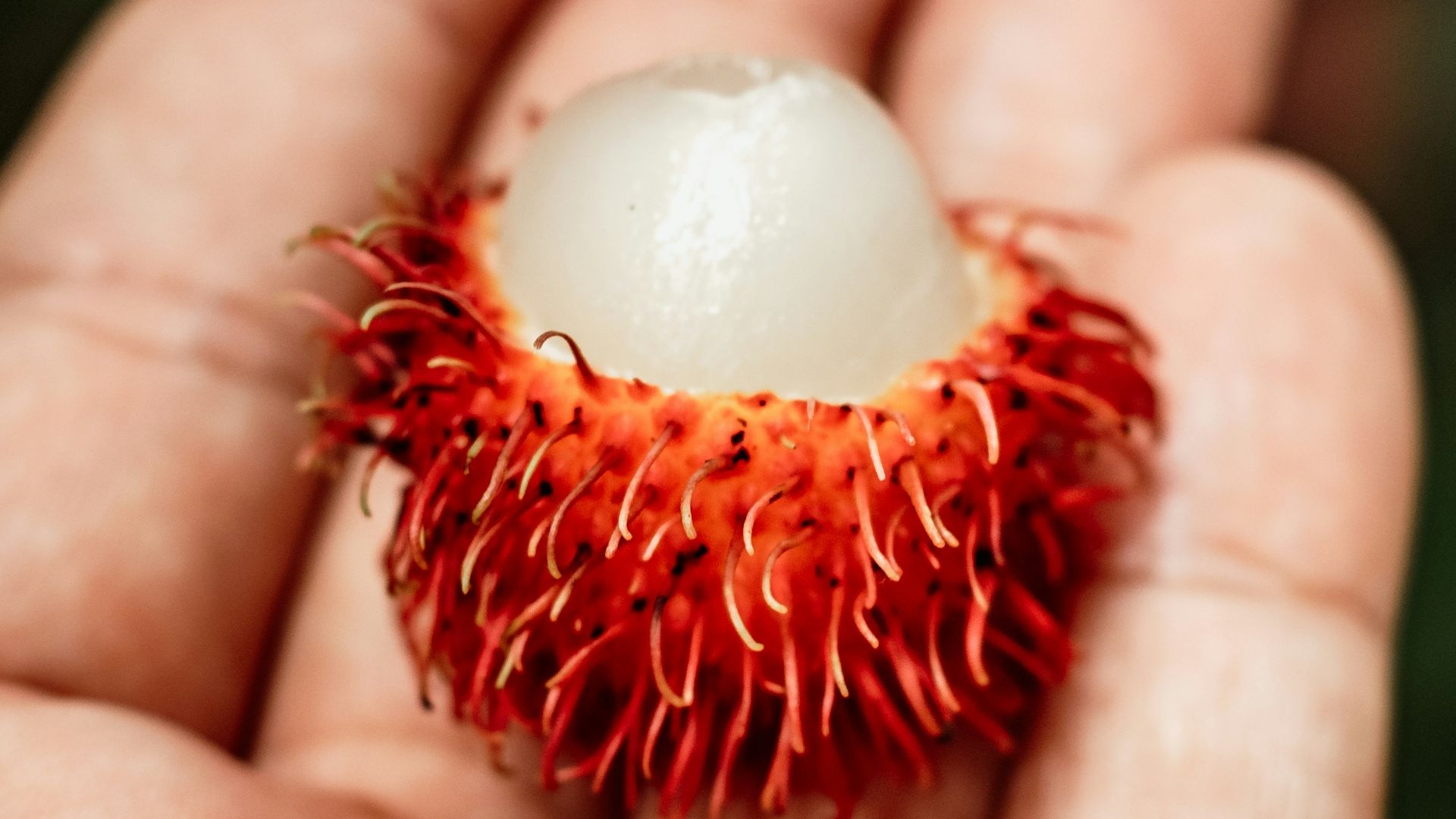 10 Underrated Tropical Fruits & 10 Everyone Knows