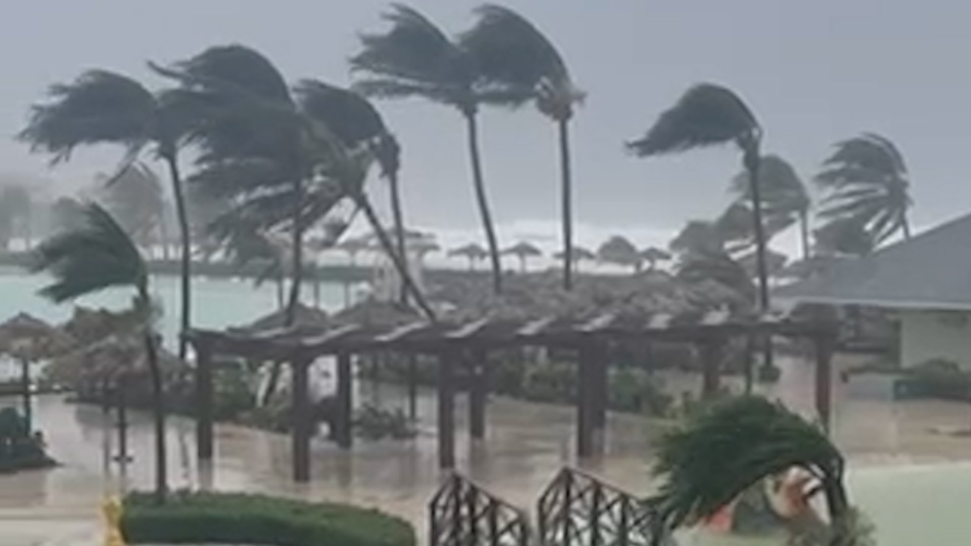 Video shows trees snapped in half at hotel resort after Hurricane Melissa