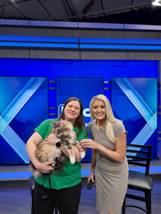 Show Your Cat Some Love! Philly Vet Shares Purr-fect Tips for National ...