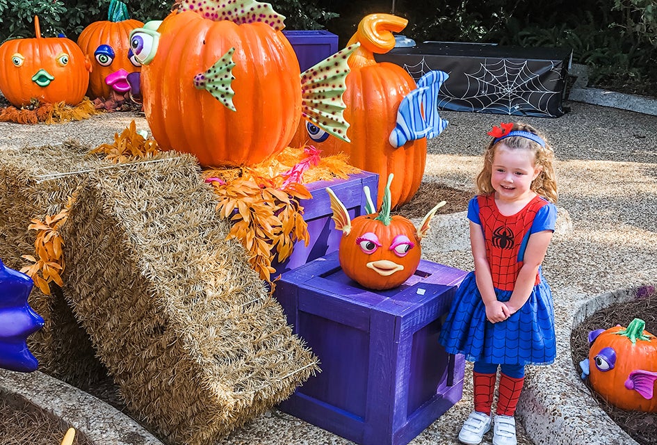 Halloween Weekend 2025 in Orlando: Trick-or-Treat, Halloween Parades ...